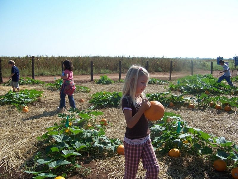 Fall Fun on the Farm | TravelOK.com - Oklahoma's Official Travel ...