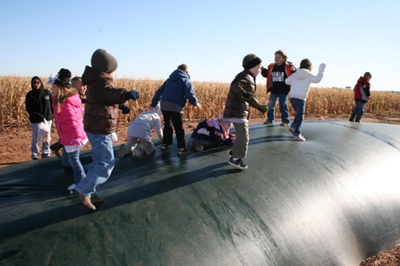 Fall Fun on the Farm | TravelOK.com - Oklahoma's Official Travel ...
