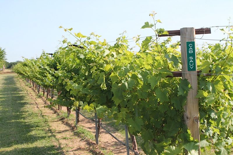 Oklahoma Wineries | TravelOK.com - Oklahoma's Official Travel & Tourism ...