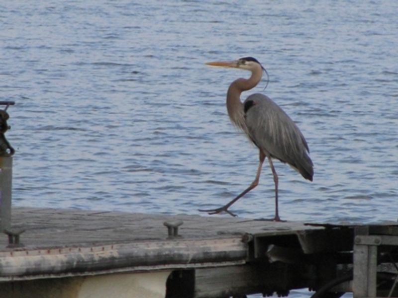 Kaw Lake | TravelOK.com - Oklahoma's Official Travel & Tourism Site