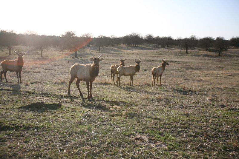 Oklahoma's Diverse Ecoregions | TravelOK.com - Oklahoma's Official ...