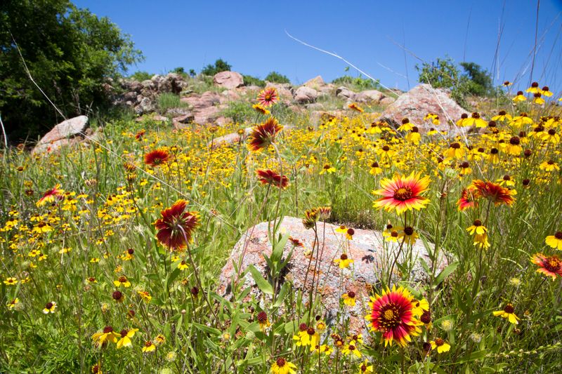 50 Ways to Celebrate Spring in Oklahoma | TravelOK.com - Oklahoma's ...