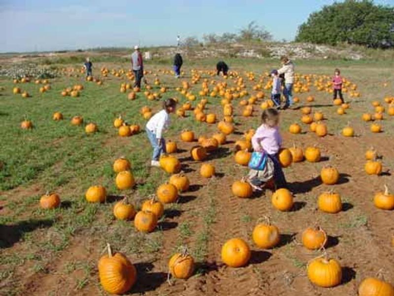 Fall Fun on the Farm | TravelOK.com - Oklahoma's Official Travel ...