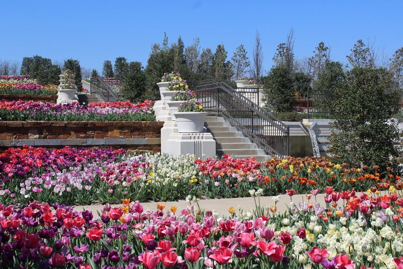 50 Ways to Celebrate Spring in Oklahoma | TravelOK.com - Oklahoma's ...