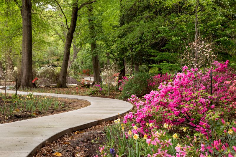 50 Ways to Celebrate Spring in Oklahoma | TravelOK.com - Oklahoma's ...