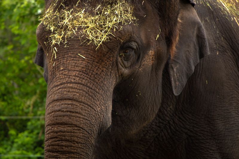 Oklahoma City's Adventure District | TravelOK.com - Oklahoma's Official ...