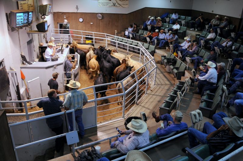 Take a Stroll Through Historic Stockyards City | TravelOK.com ...