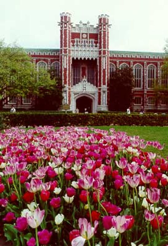 The University of Oklahoma | TravelOK.com - Oklahoma's Official Travel ...