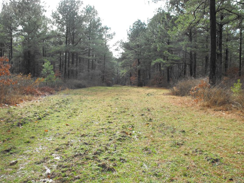 Three Rivers Wildlife Management Area | TravelOK.com - Oklahoma's ...