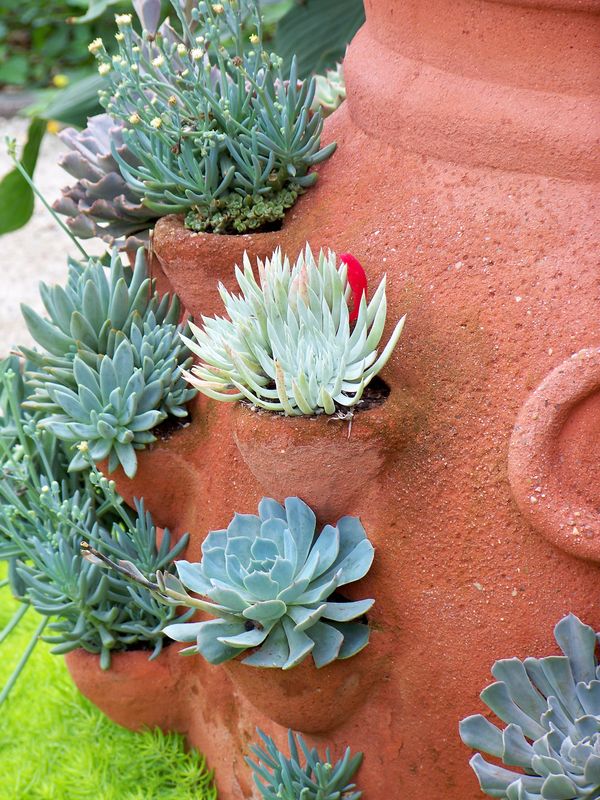 The Botanic Garden at Oklahoma State University | TravelOK.com ...