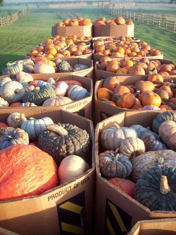 Shepherd's Cross | TravelOK.com - Oklahoma's Official Travel & Tourism Site