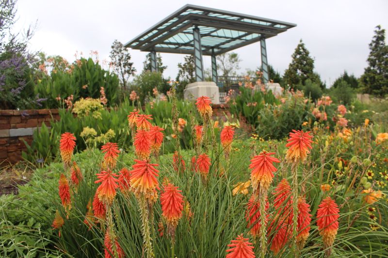 Tulsa Botanic Garden | TravelOK.com - Oklahoma's Official Travel ...