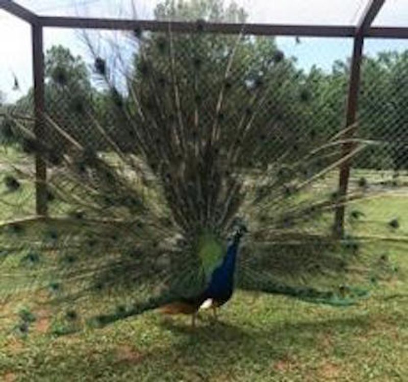 Randlett Park | TravelOK.com - Oklahoma's Official Travel & Tourism Site