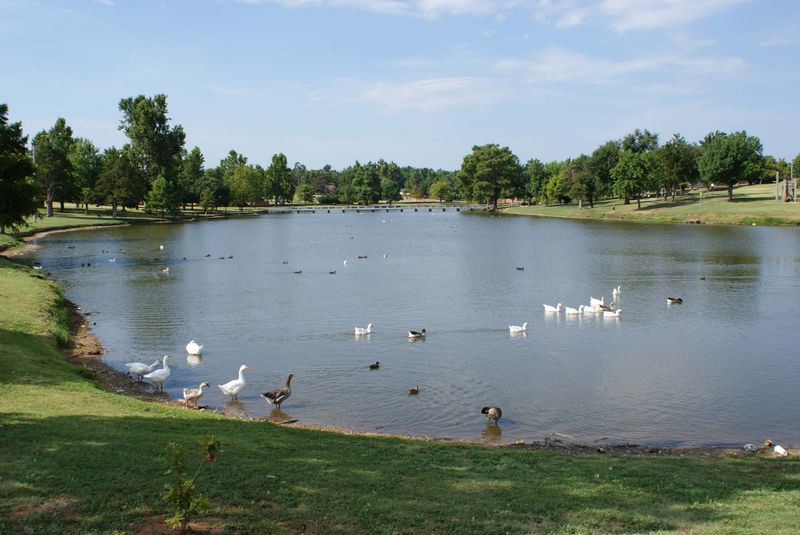 Shannon Springs Park | TravelOK.com - Oklahoma's Official Travel ...