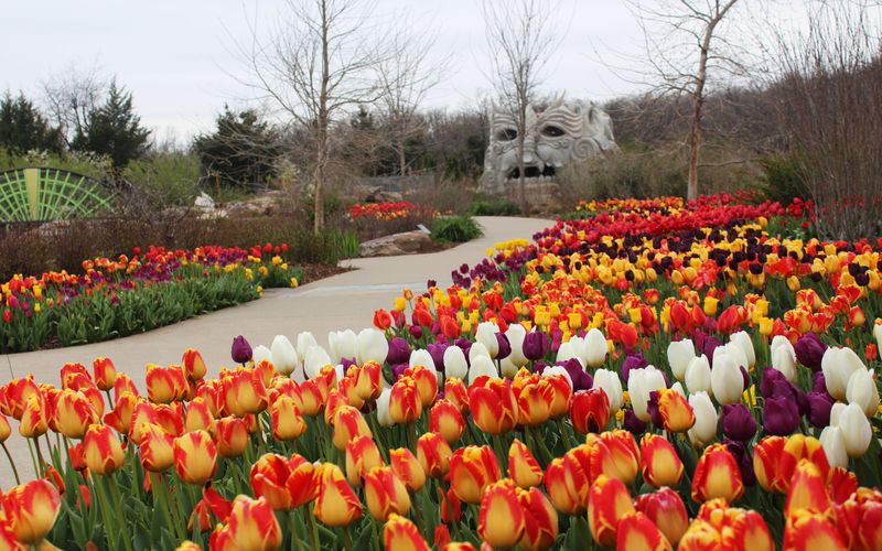 Tulsa Botanic Blooms | TravelOK.com - Oklahoma's Official Travel ...