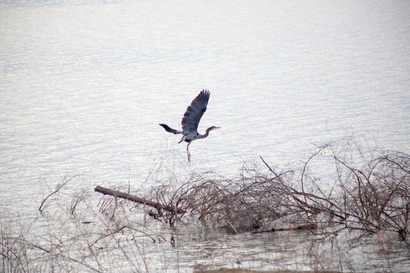 Lake Wister State Park | TravelOK.com - Oklahoma's Official Travel ...