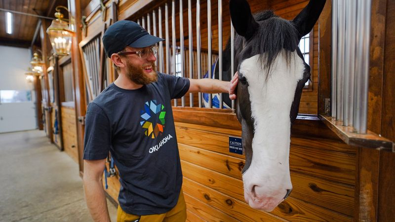 Express Clydesdales Ranch | TravelOK.com - Oklahoma's Official Travel ...