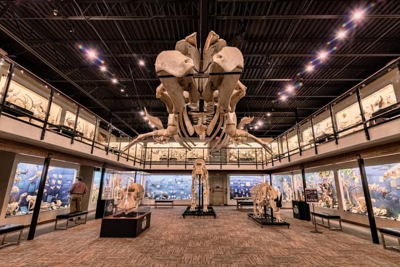 Skeletons: Museum of Osteology | TravelOK.com - Oklahoma's Official ...