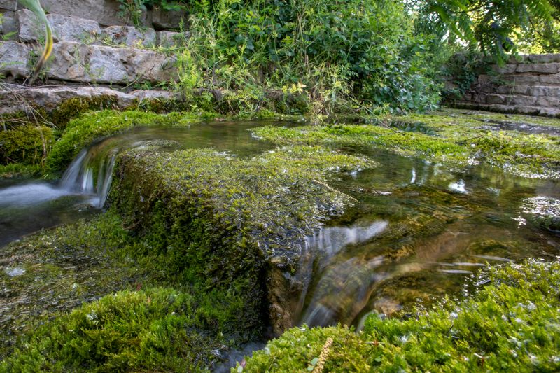 Boiling Springs State Park | TravelOK.com - Oklahoma's Official Travel ...