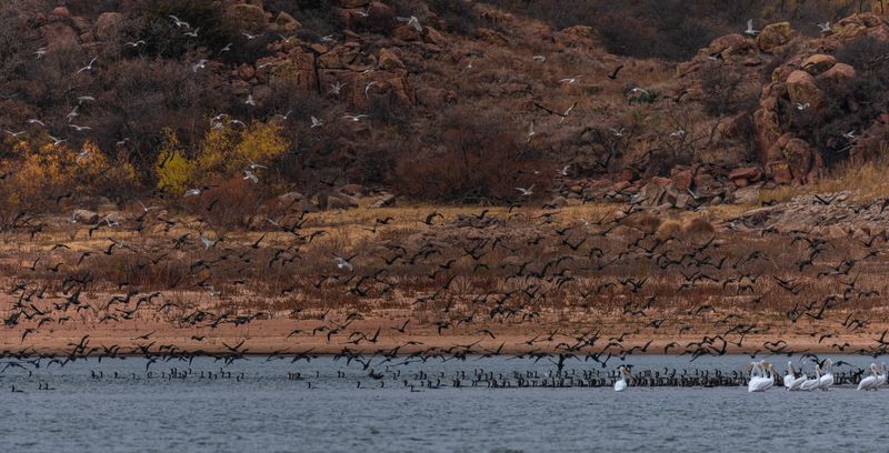 Great Plains State Park | TravelOK.com - Oklahoma's Official Travel ...