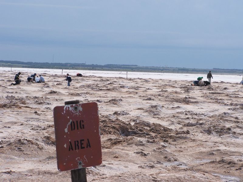 Salt Plains National Wildlife Refuge | TravelOK.com - Oklahoma's ...
