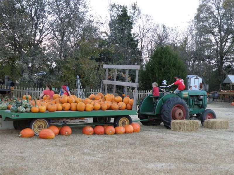 Parkhurst Ranch & Pumpkin Patch | TravelOK.com - Oklahoma's Official ...