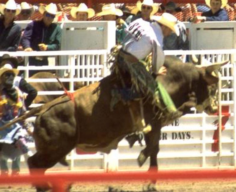 Freedom Rodeo & Old Cowhand Reunion | TravelOK.com - Oklahoma's ...