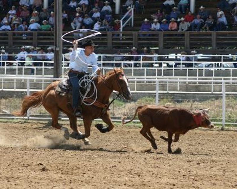 Ben Johnson Memorial Steer Roping | TravelOK.com - Oklahoma's Official ...