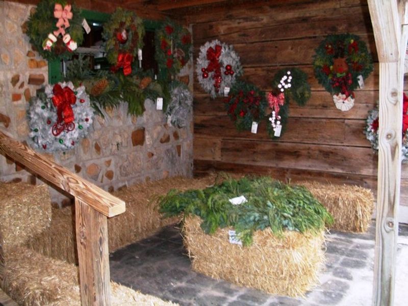 Owasso Christmas Tree & Berry Farm | TravelOK.com - Oklahoma's Official ...