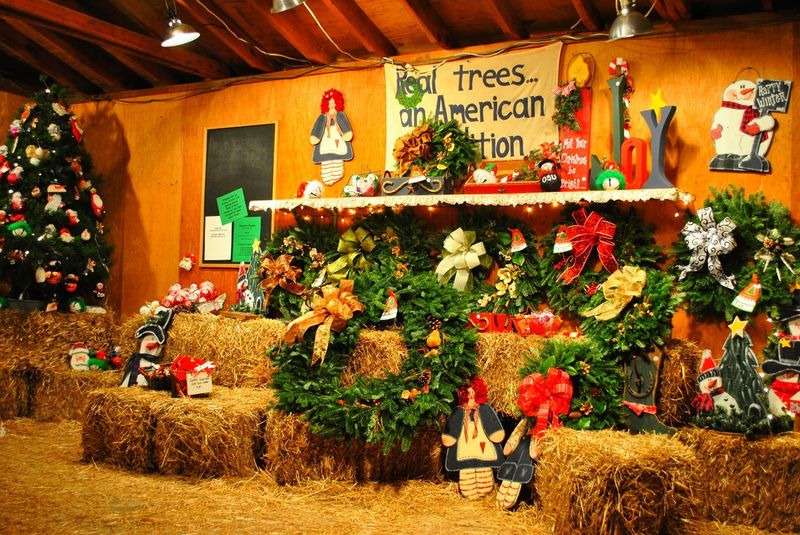 Santa's Forest Tree Farm | TravelOK.com - Oklahoma's Official Travel ...