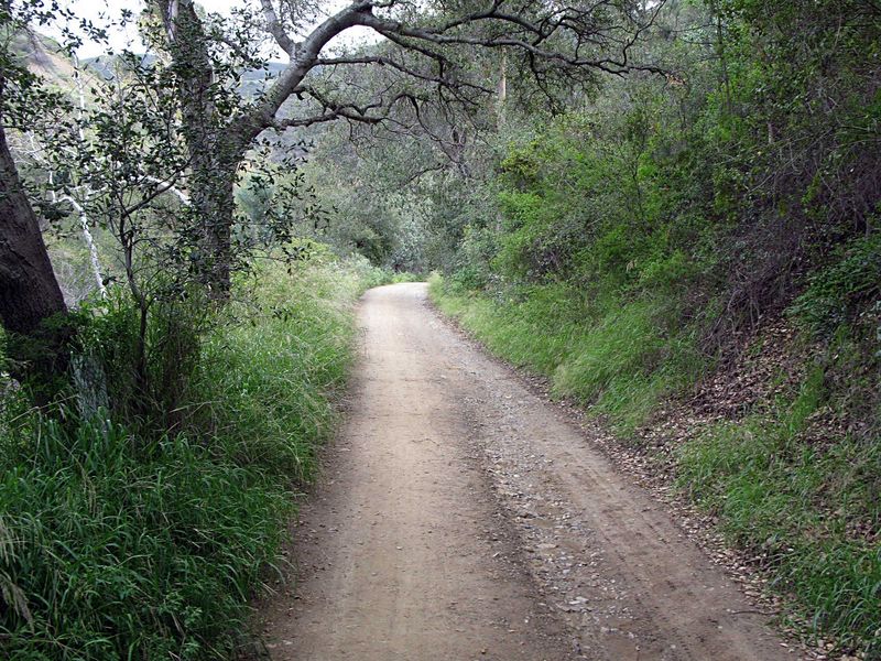 Spook Light | TravelOK.com - Oklahoma's Official Travel & Tourism Site