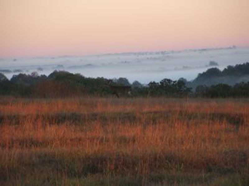 Red Rock Ranch | TravelOK.com - Oklahoma's Official Travel & Tourism Site