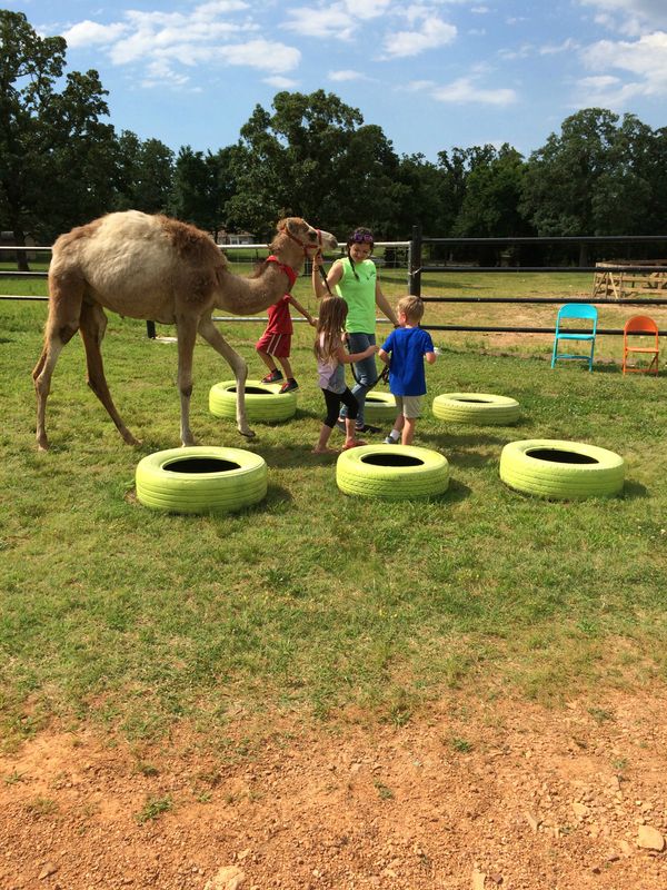 Oasis Animal Adventures | TravelOK.com - Oklahoma's Official Travel ...