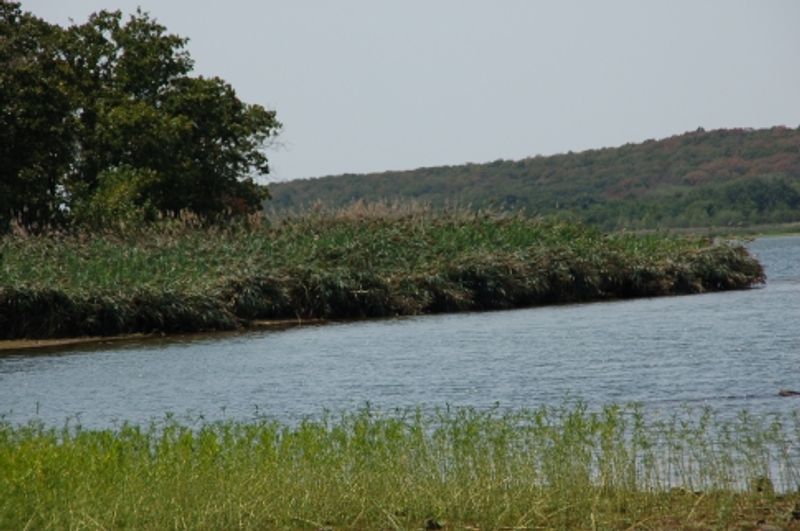 Okmulgee & Dripping Springs Lake & Recreation Area | TravelOK.com ...