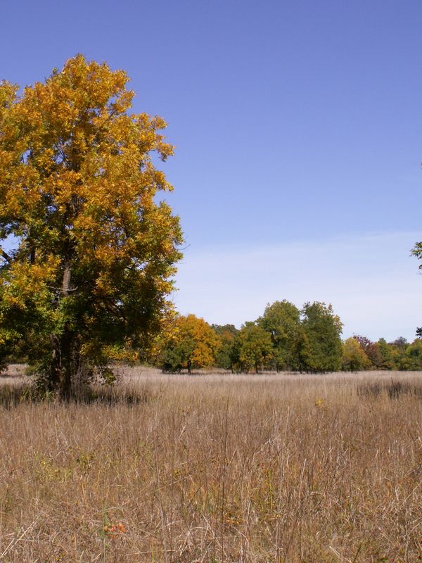 Pontotoc Ridge Preserve | TravelOK.com - Oklahoma's Official Travel ...