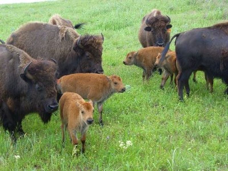 Mountain View City Hall | TravelOK.com - Oklahoma's Official Travel ...