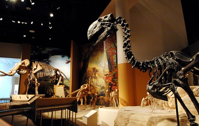 Sam Noble Museum | TravelOK.com - Oklahoma's Official Travel & Tourism Site