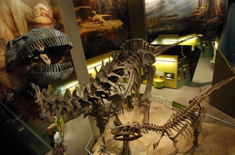 Sam Noble Museum | TravelOK.com - Oklahoma's Official Travel & Tourism Site