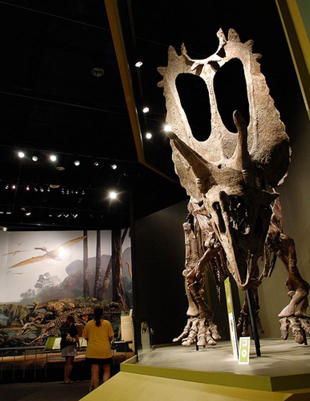 Sam Noble Museum | TravelOK.com - Oklahoma's Official Travel & Tourism Site