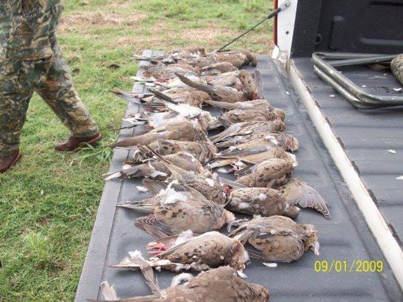 No Mercy Hunting Services | TravelOK.com - Oklahoma's Official Travel ...
