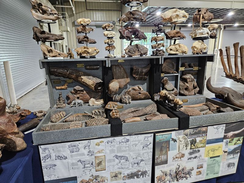 Tulsa Rock, Gem, Mineral & Jewelry Show | TravelOK.com - Oklahoma's ...