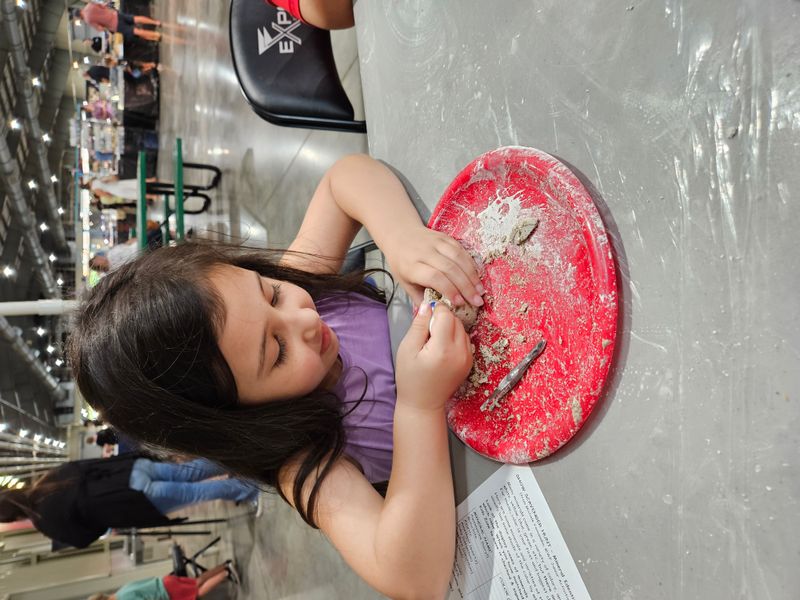 Tulsa Rock, Gem, Mineral & Jewelry Show | TravelOK.com - Oklahoma's ...