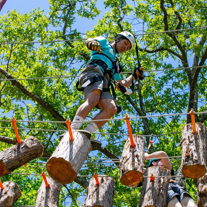 PostOak Canopy Tours | TravelOK.com - Oklahoma's Official Travel ...