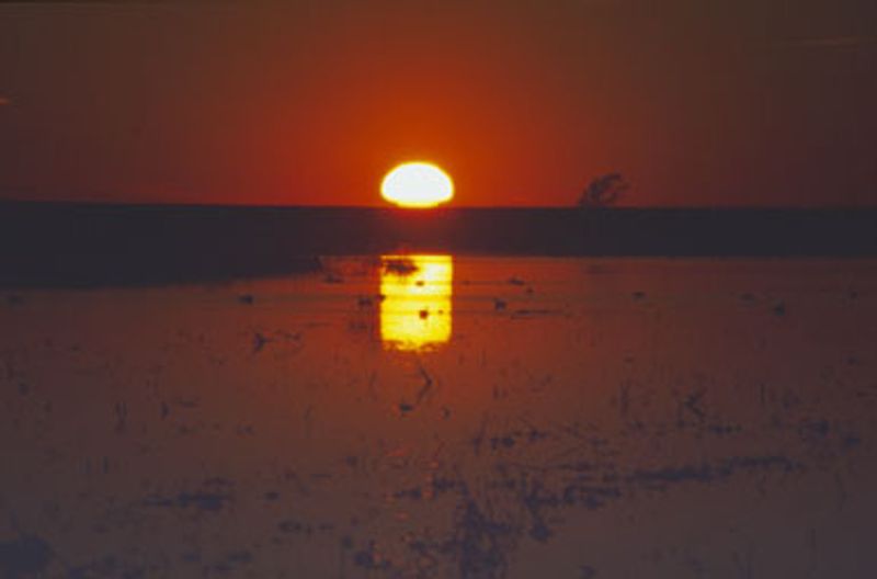 Hackberry Flat Wildlife Management Area & Center | TravelOK.com ...