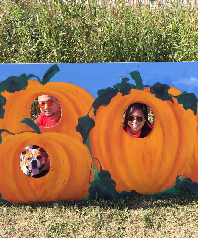 Pumpkin Town Farms | TravelOK.com - Oklahoma's Official Travel ...