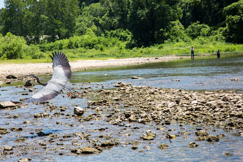 Spavinaw Area at Grand Lake State Park | TravelOK.com - Oklahoma's ...