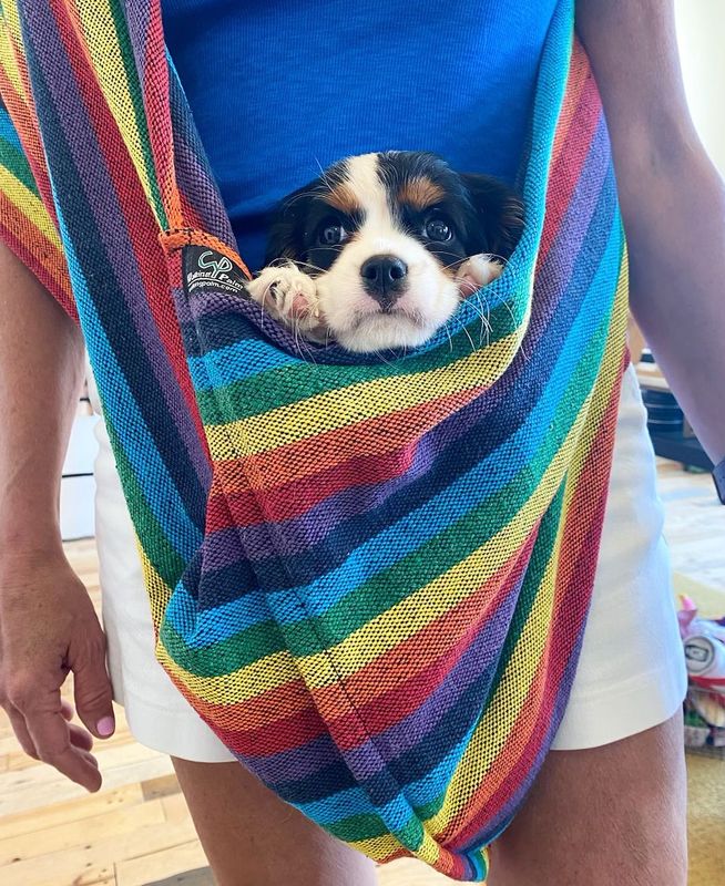 Golden Mutt Jack | TravelOK.com - Oklahoma's Official Travel & Tourism Site