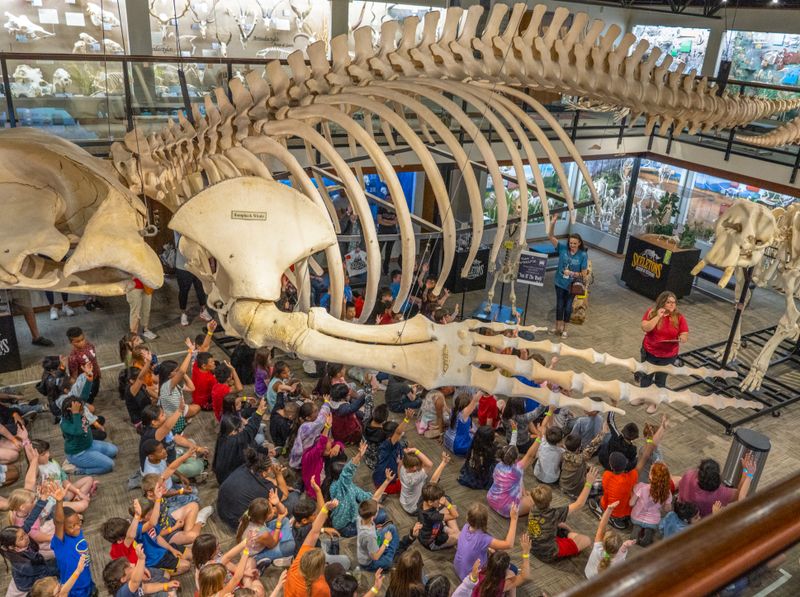 Skeletons: Museum of Osteology | TravelOK.com - Oklahoma's Official ...