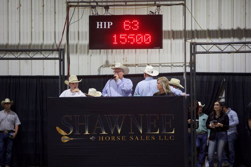 Shawnee Horse Sale | TravelOK.com - Oklahoma's Official Travel ...