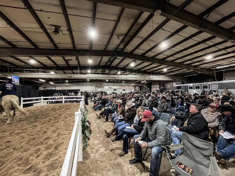 Shawnee Horse Sale | TravelOK.com - Oklahoma's Official Travel ...